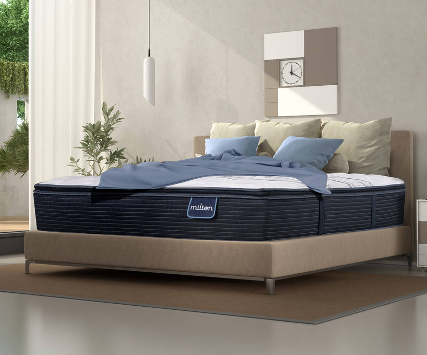 Milton Sleep Company